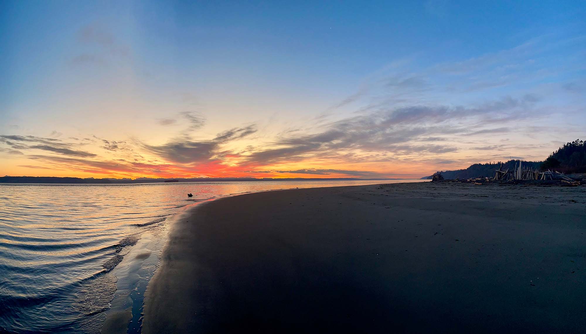 Contact - D.D. Black